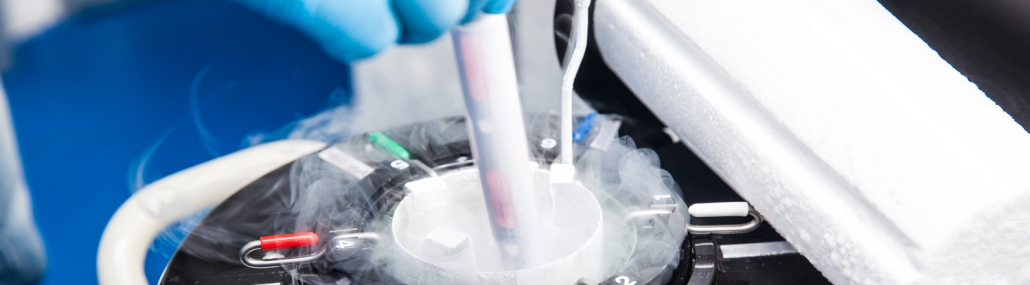 Fertility Preservation – One Fertility